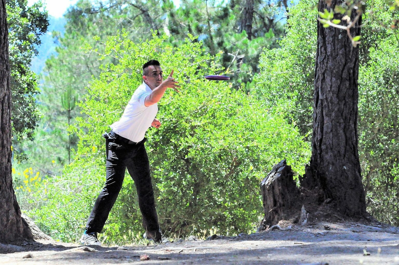 Career Milestones Series: PDGA National Tour Victories - Ultiworld Disc ...
