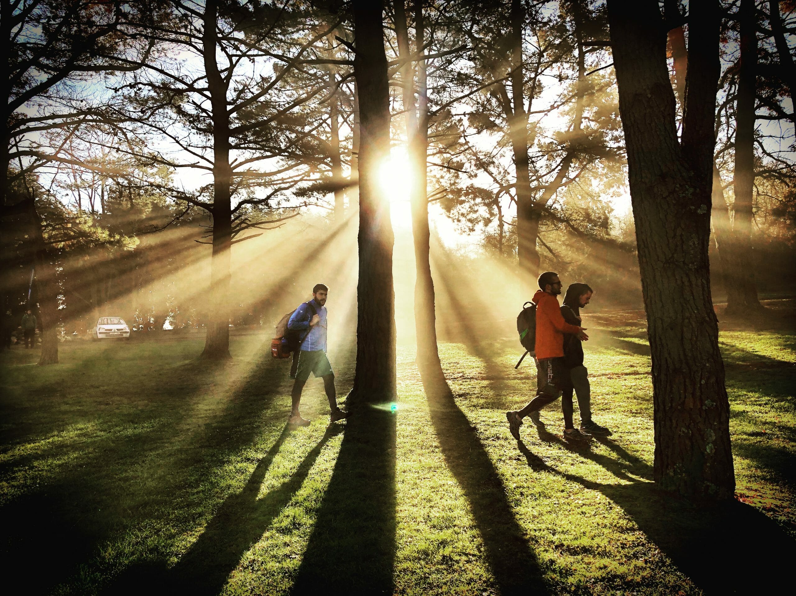 Travel Like A Pro: How To Get To Disc Golf Bucket List Destinations ...