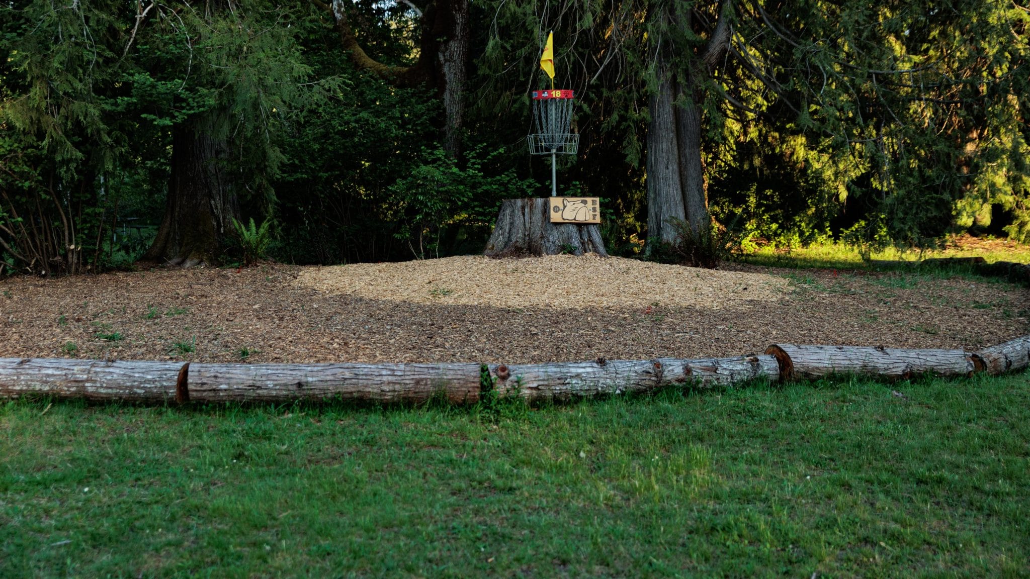 2024 Beaver State Fling Preview: Milo, Oh My - Ultiworld Disc Golf