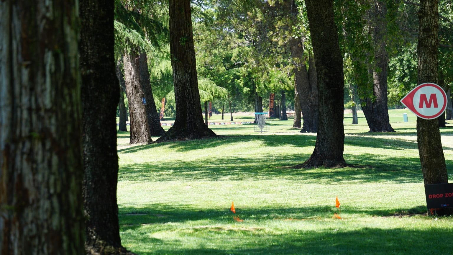 2025 PDGA Champions Cup: The Season's First Major - Ultiworld Disc Golf