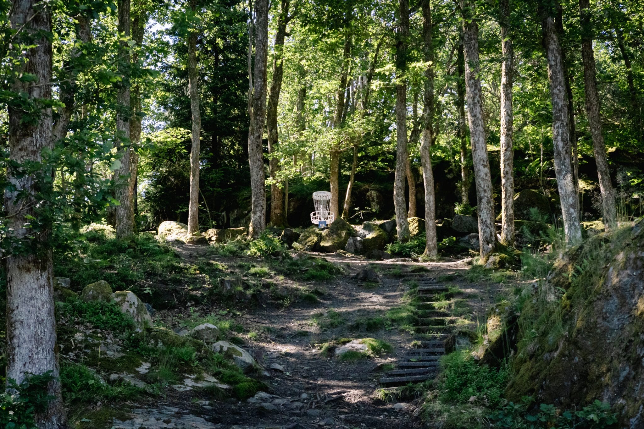 2025 Ale Open Preview: One of the World's Finest Courses - Ultiworld ...